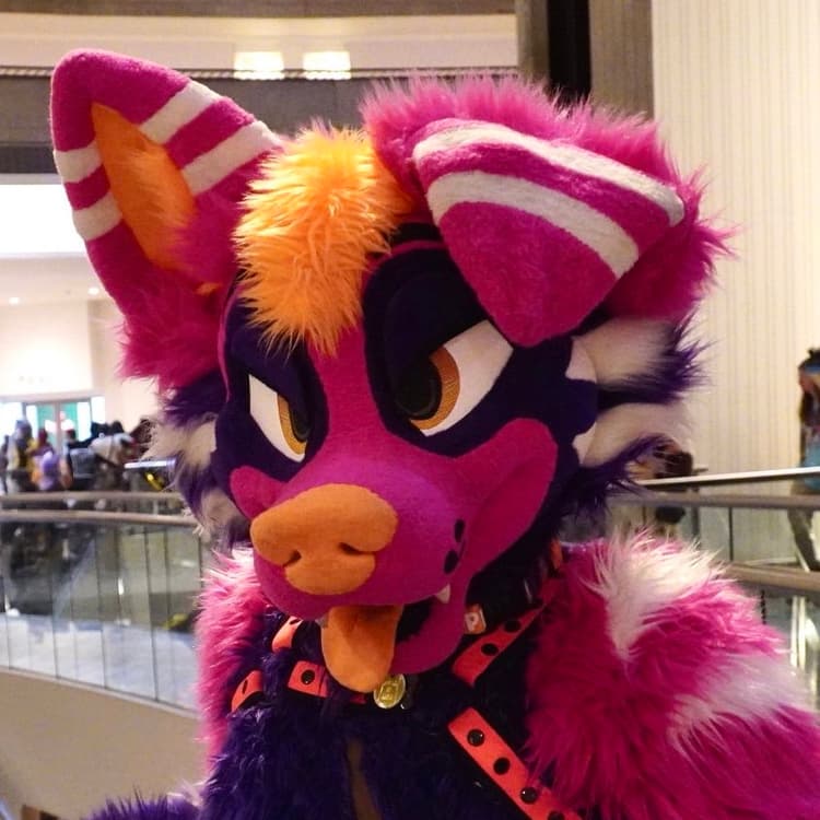BARQ! - For furries, by furries