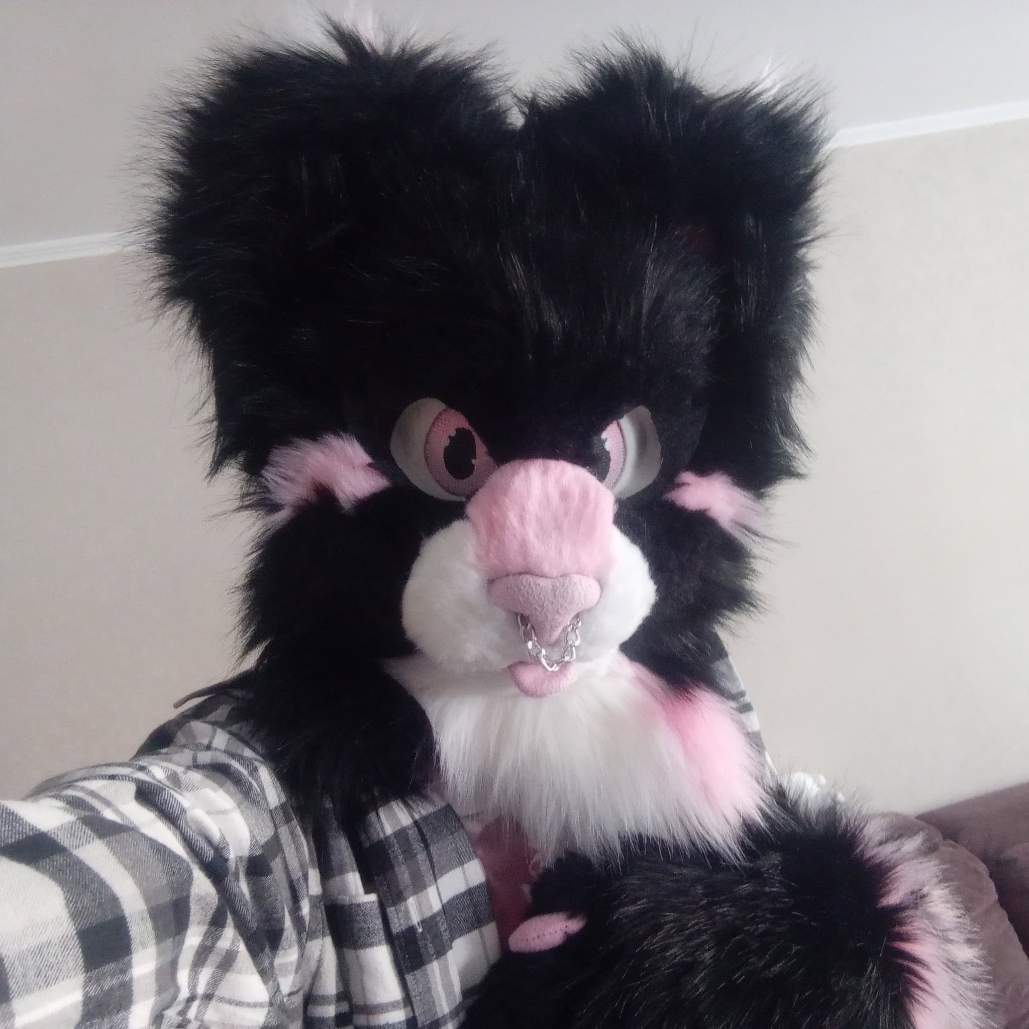 BARQ! - For furries, by furries